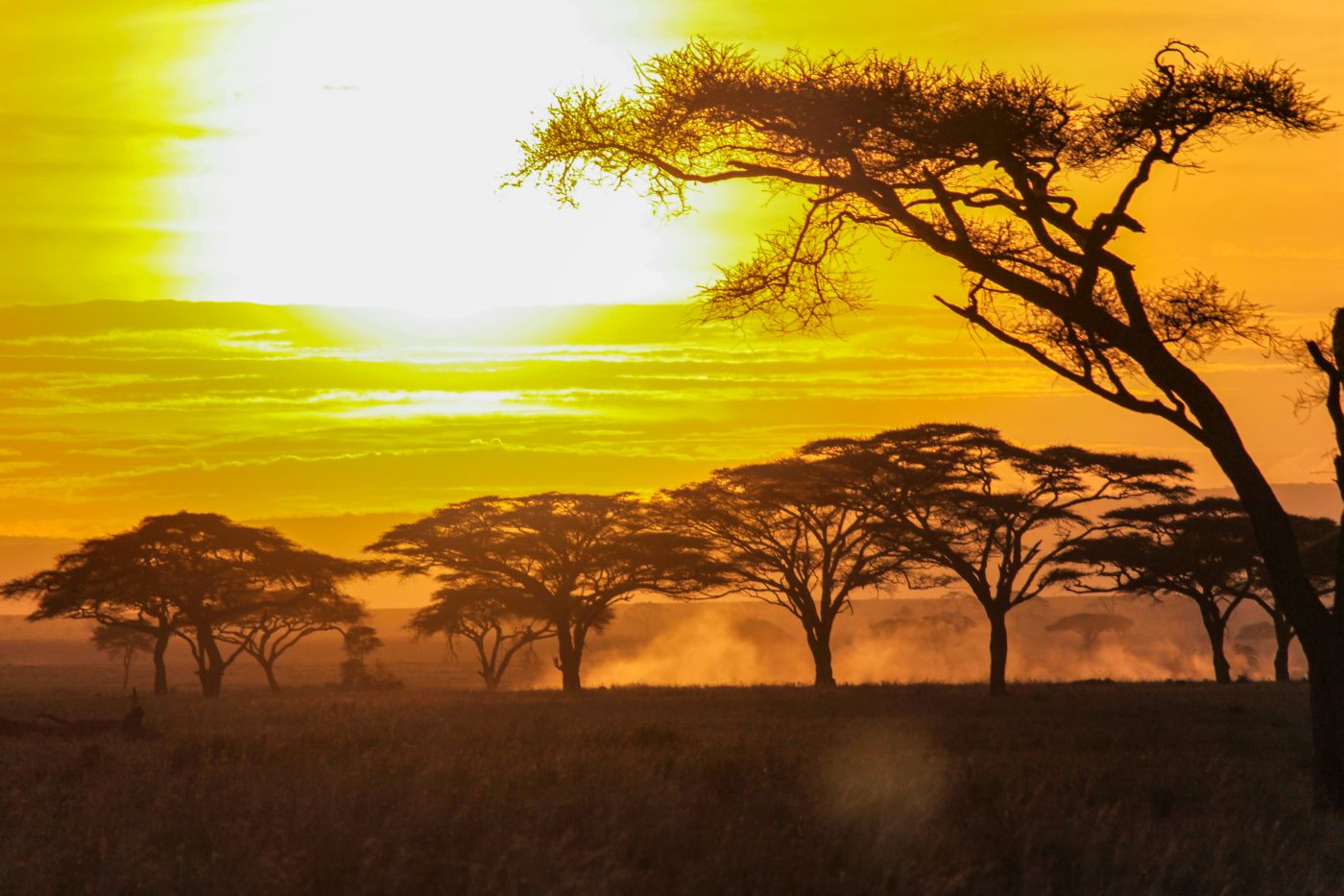 Tansania - VRM-Reisen